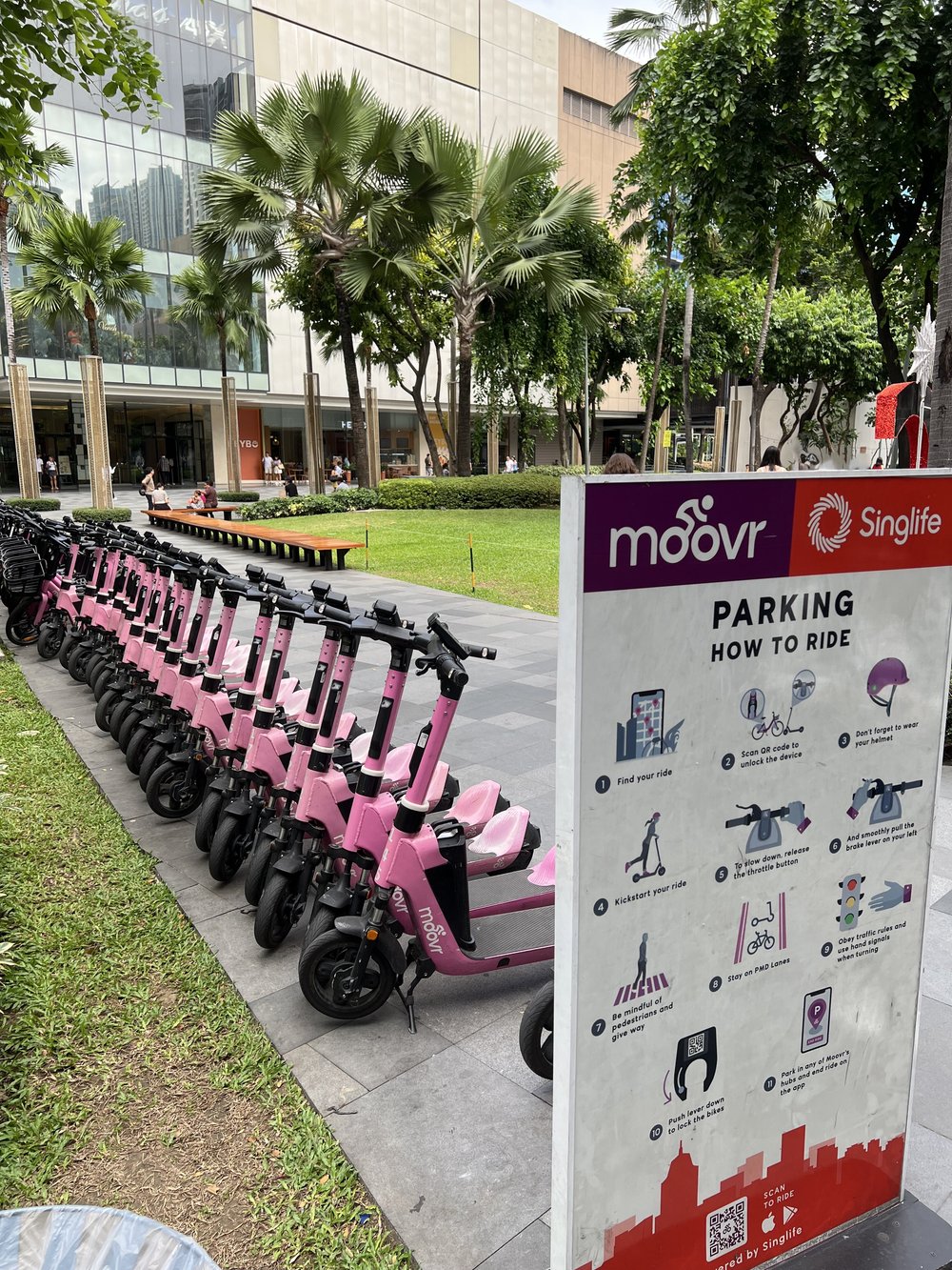 マニラにこんな大都会が？その魅力をご紹介 【知りたい！現地の暮らし】